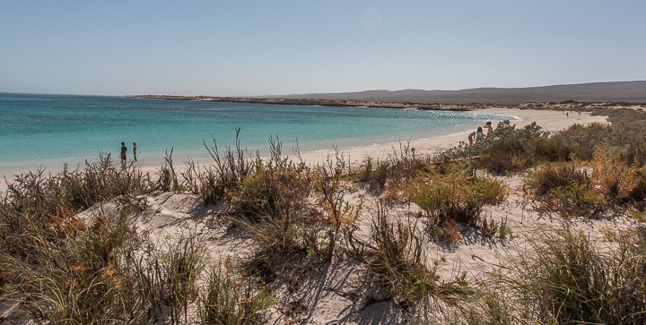 Graham and Chris on tour 2014 – Update #15 – Wittenoom, Karratha, Mill ...